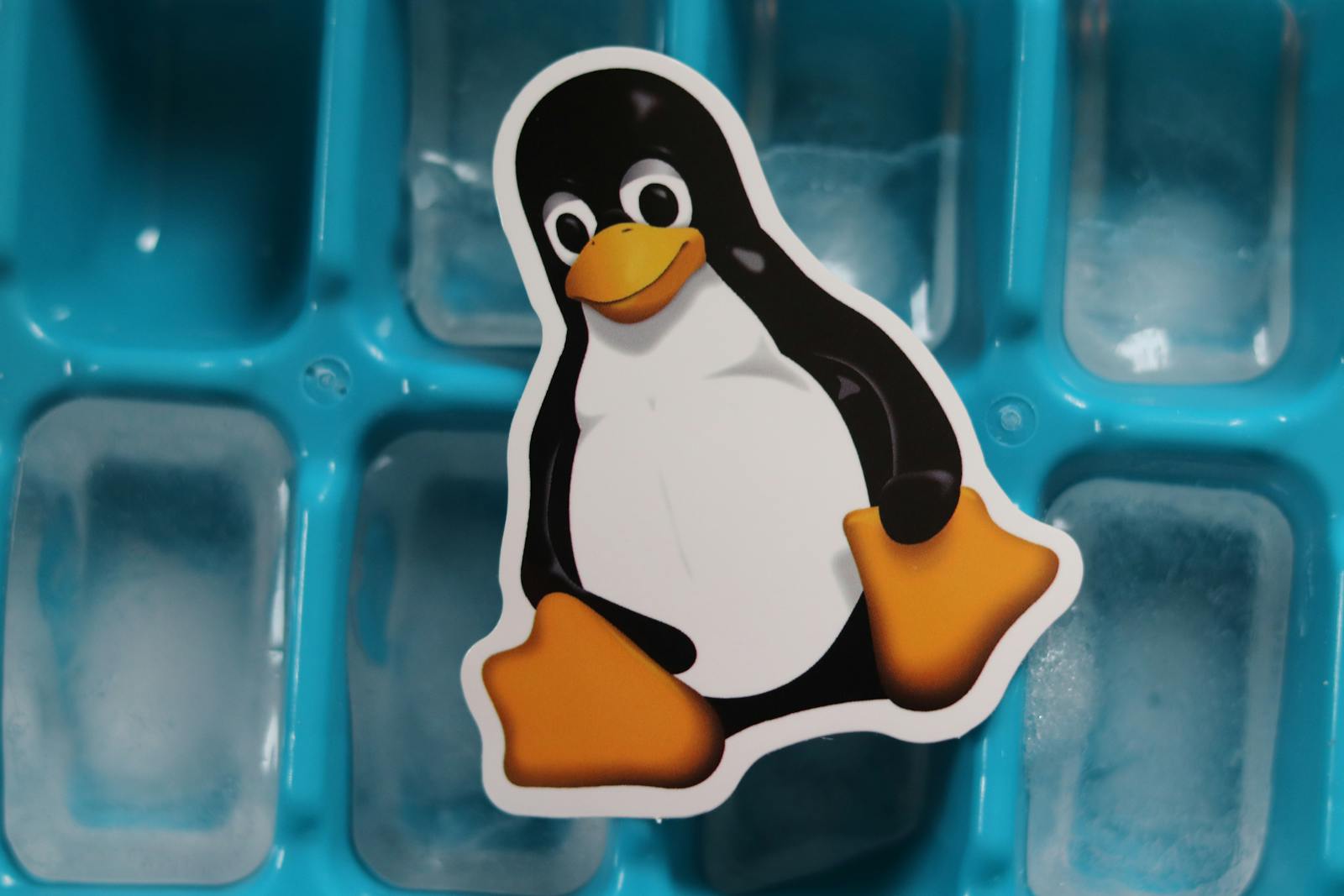 Mastering Ubuntu On WSL2: Essential Linux Commands For Efficient Work ... Mastering Ubuntu On WSL2: Essential Linux Commands For Efficient Work ...